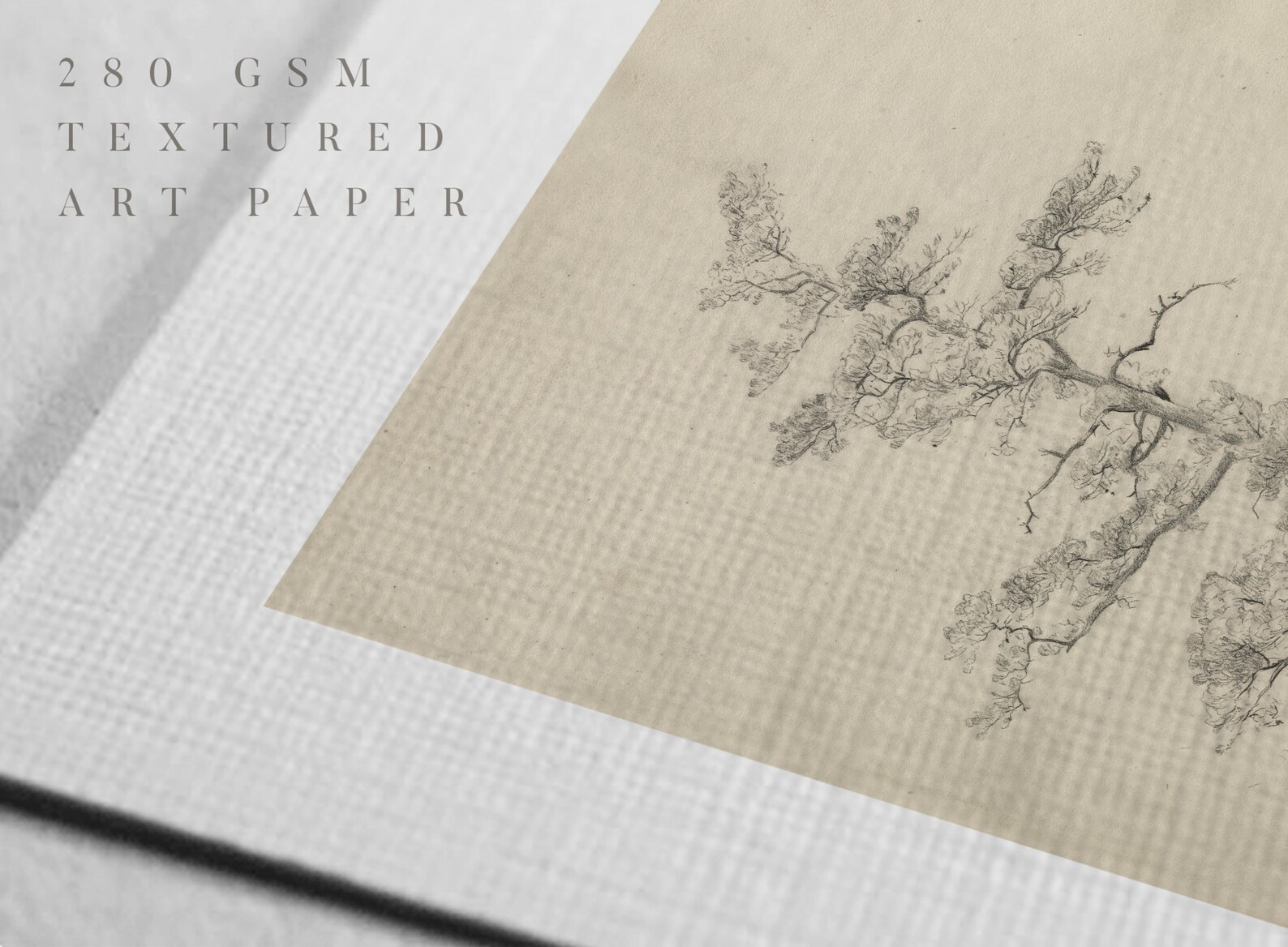 Vintage PRINTED Art Rustic Tree Sketch Botanical Drawing - Etsy