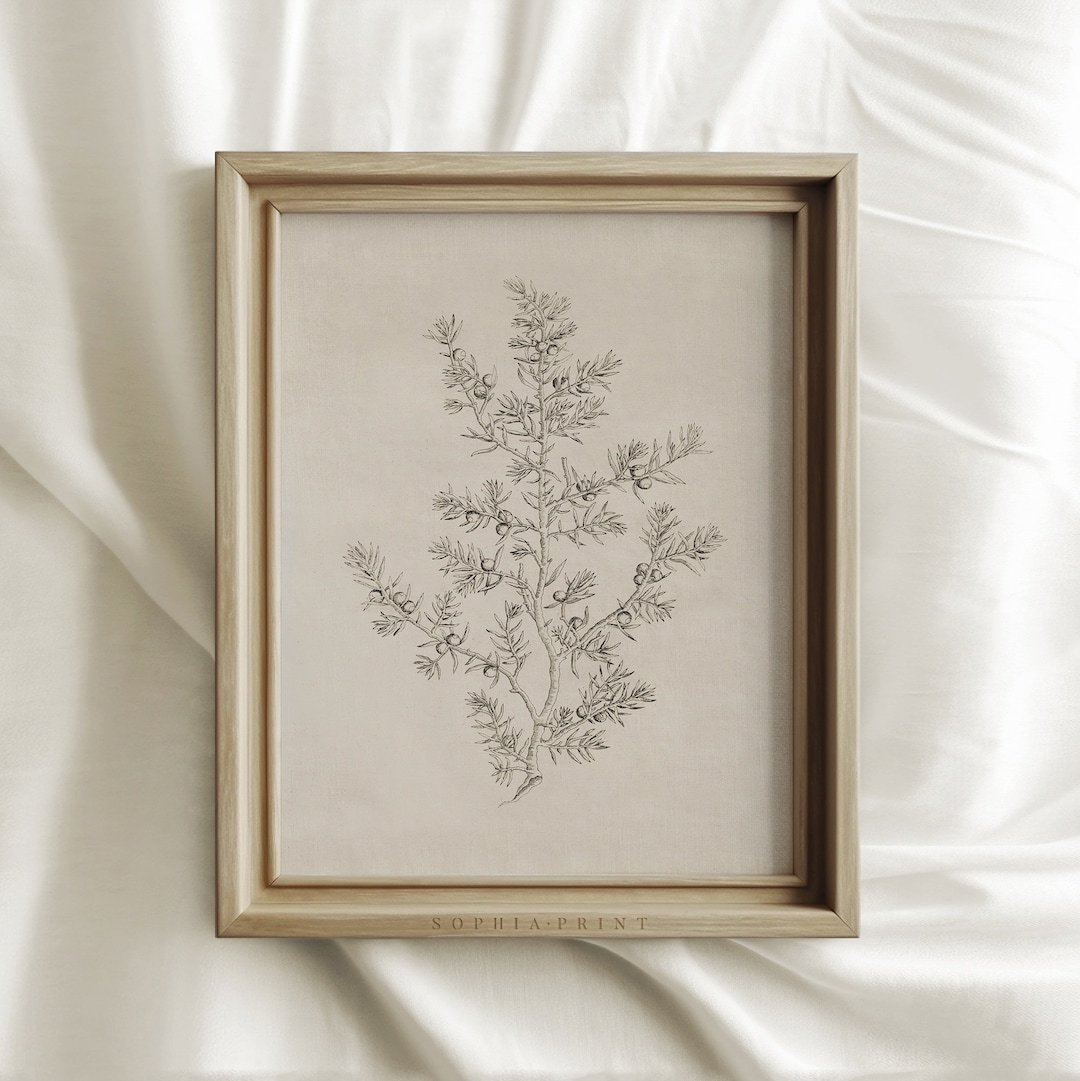 Olive Branch Etching Print, Vintage Neutral Sketch Wall Art, Beige ...