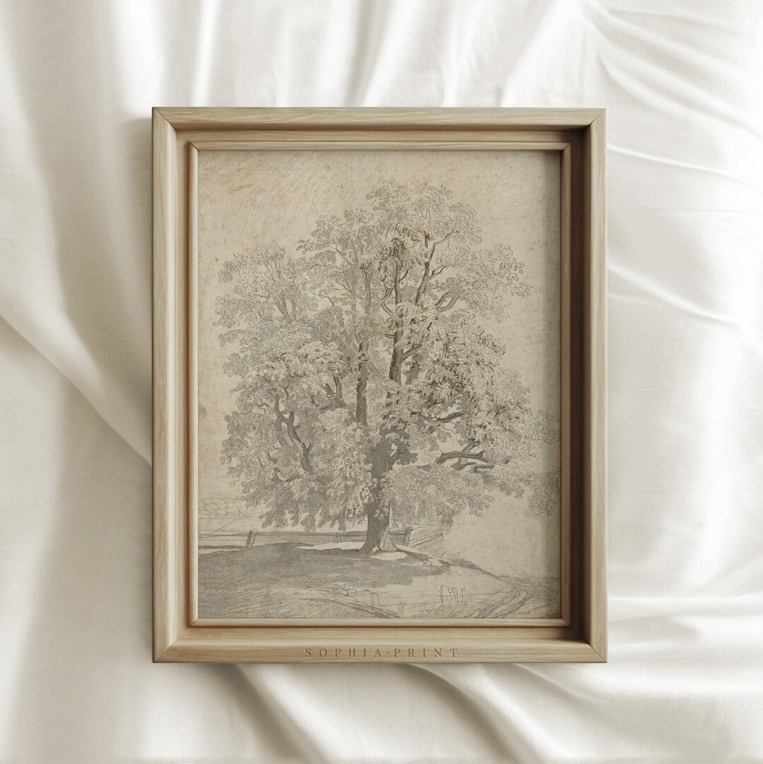 Vintage Tree Drawing Print, Neutral Rustic Sketch Art Print, Farmhouse ...