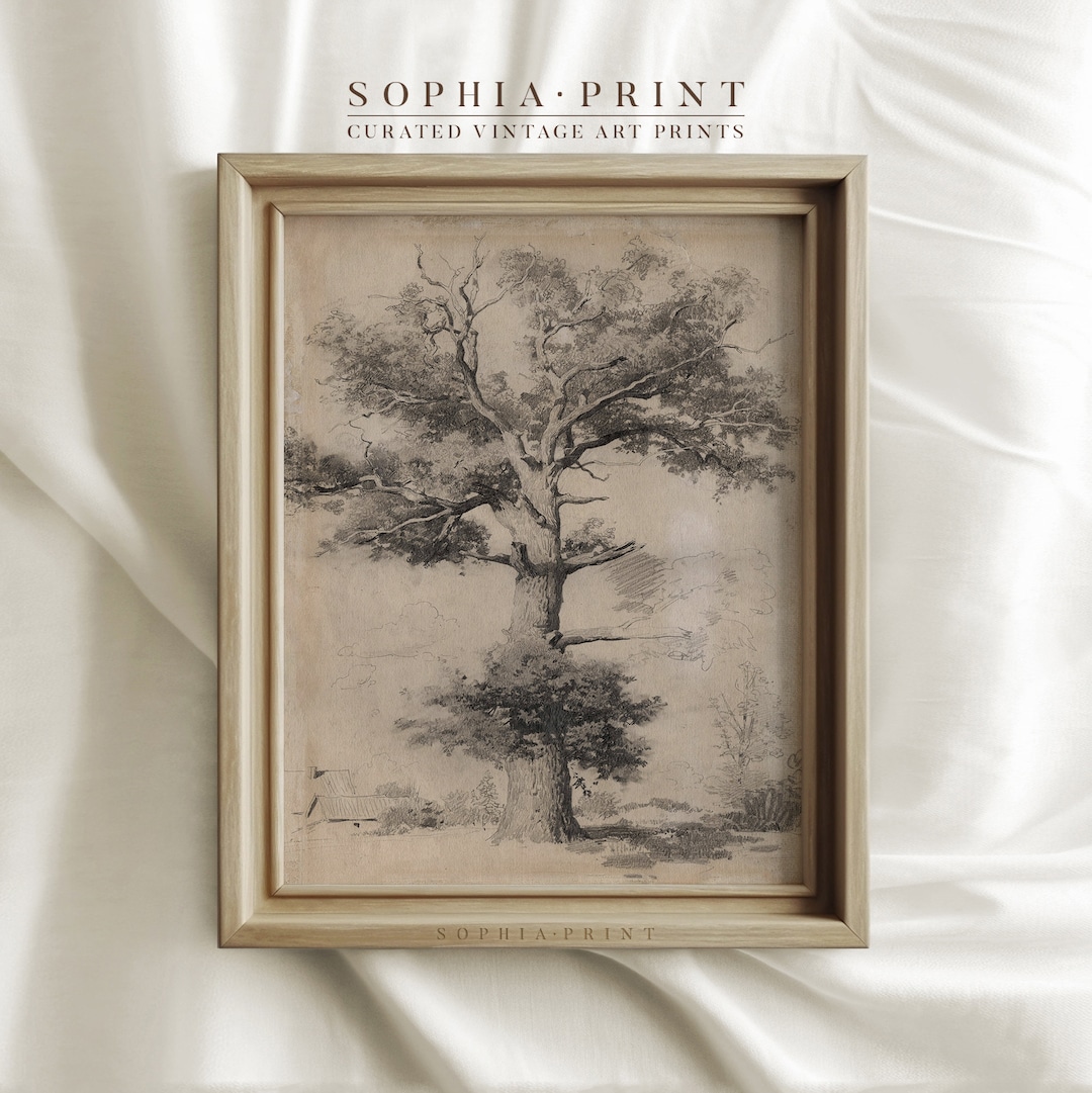Vintage Tree Drawing Print, Tree Sketch Print, Rustic Moody Home Decor ...