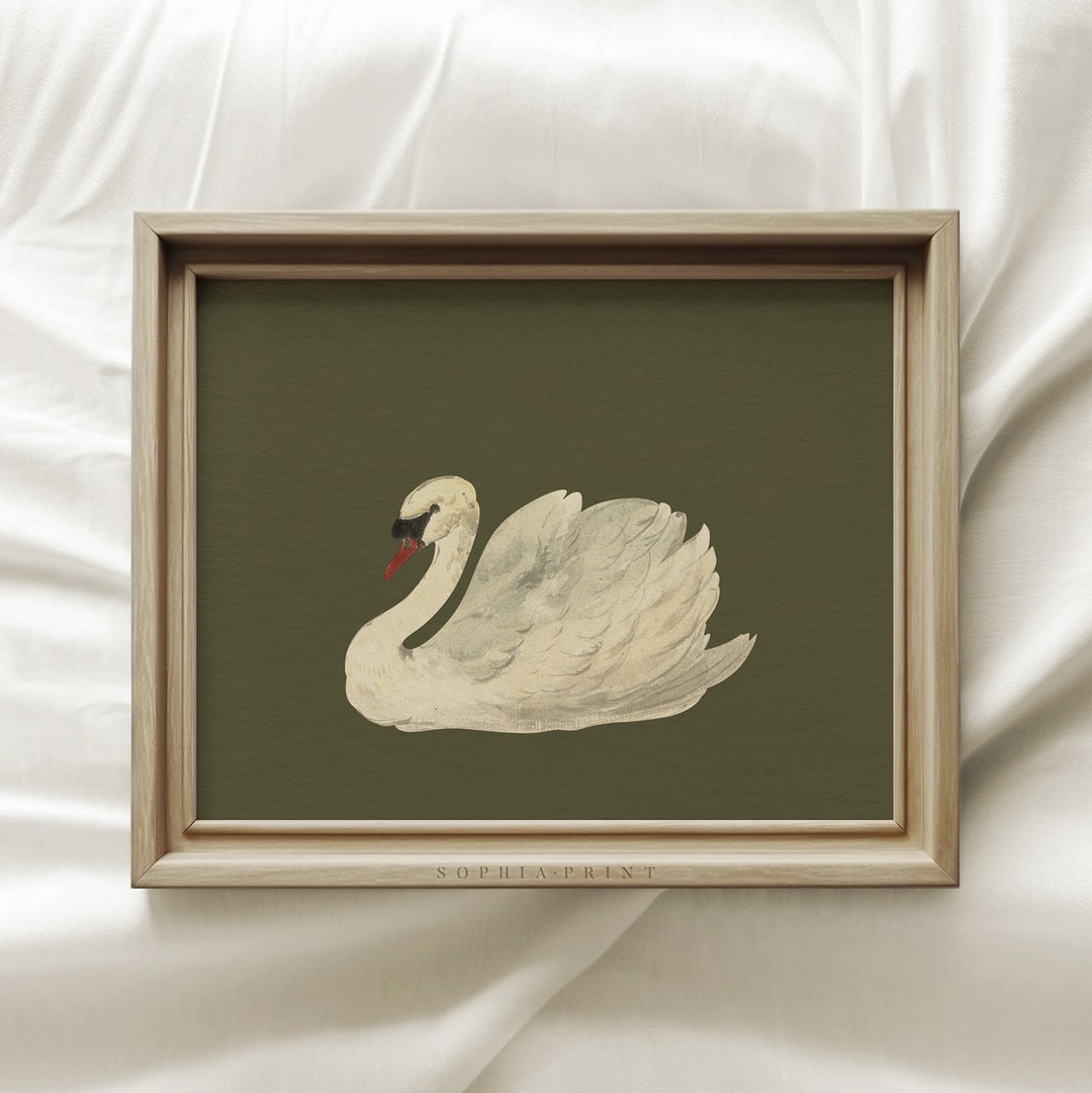 Vintage Green Swan Art, Sage Green Swan Wall Art, Girls Room Decor ...