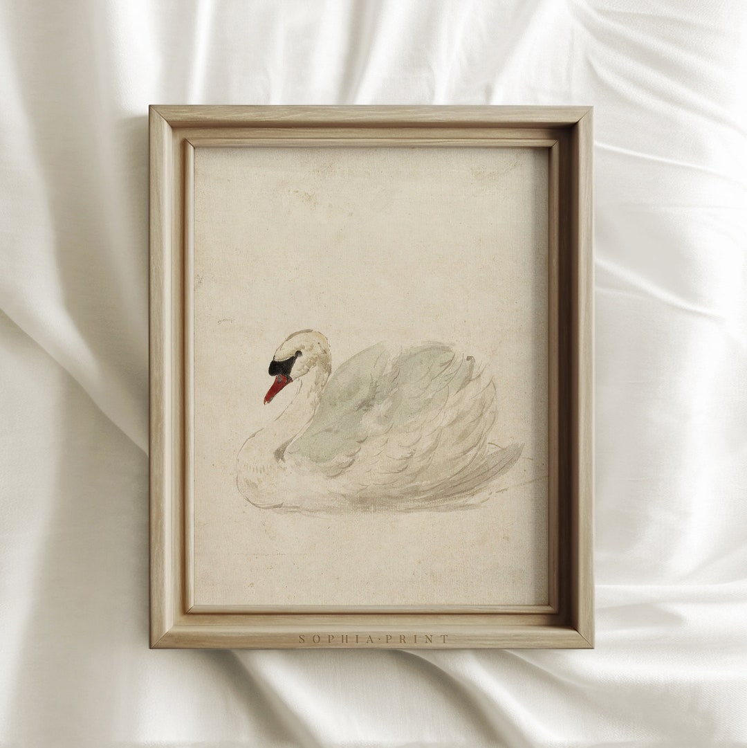 Vintage Swan Art Print, Farmhouse Wall Decor, Neutral Tone, Vintage ...