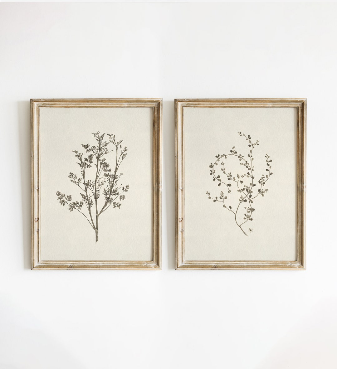 Vintage Botanical Print Set Of Two Cottagecore Prints Farmhouse Wall
