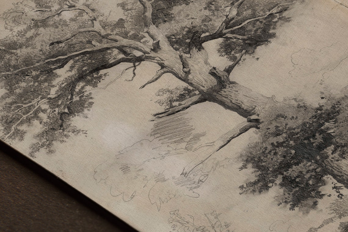 Vintage Tree Drawing Print, Tree Sketch Print, Rustic Moody Home Decor ...