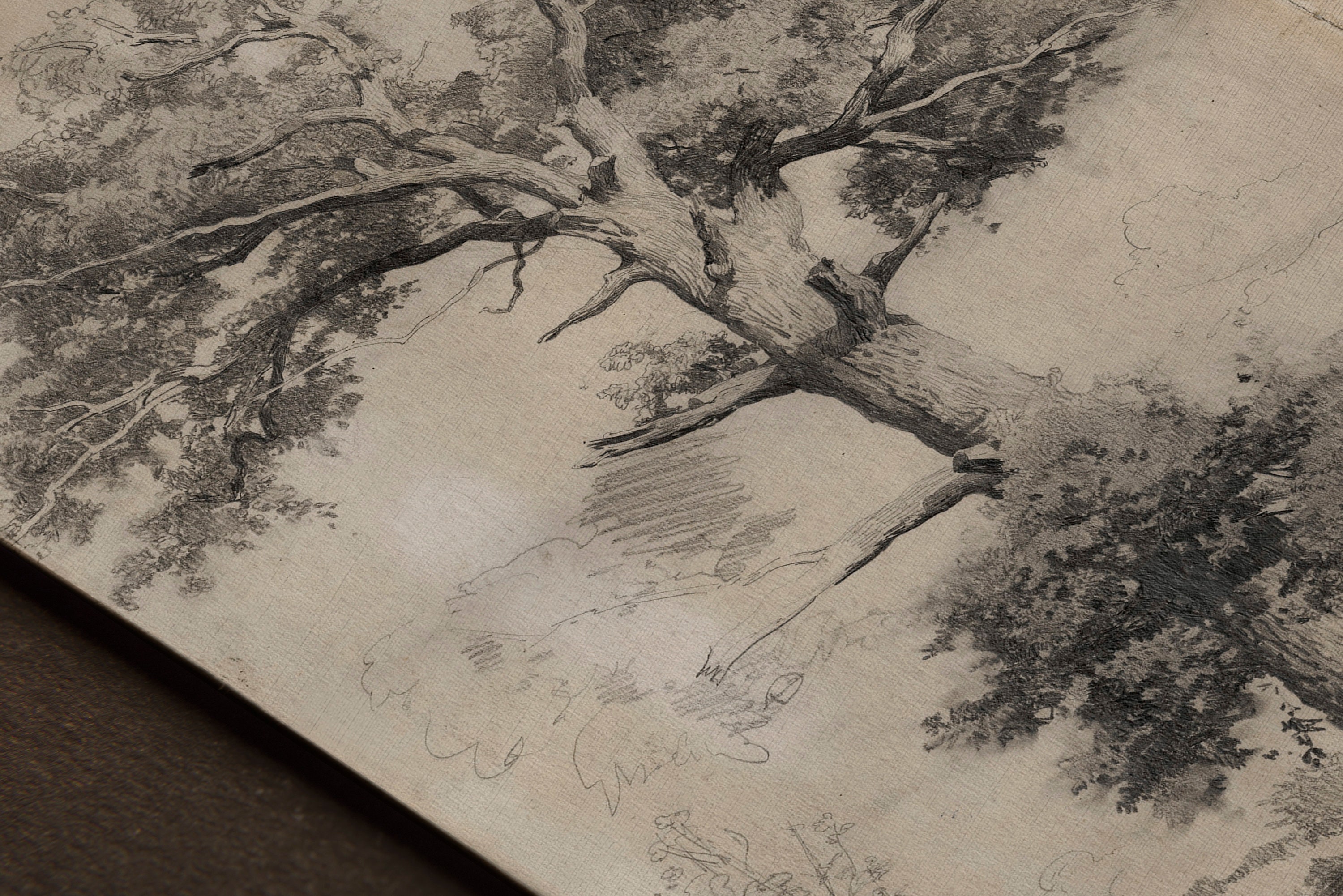 Vintage Tree Drawing Print, Tree Sketch Print, Rustic Moody Home Decor ...