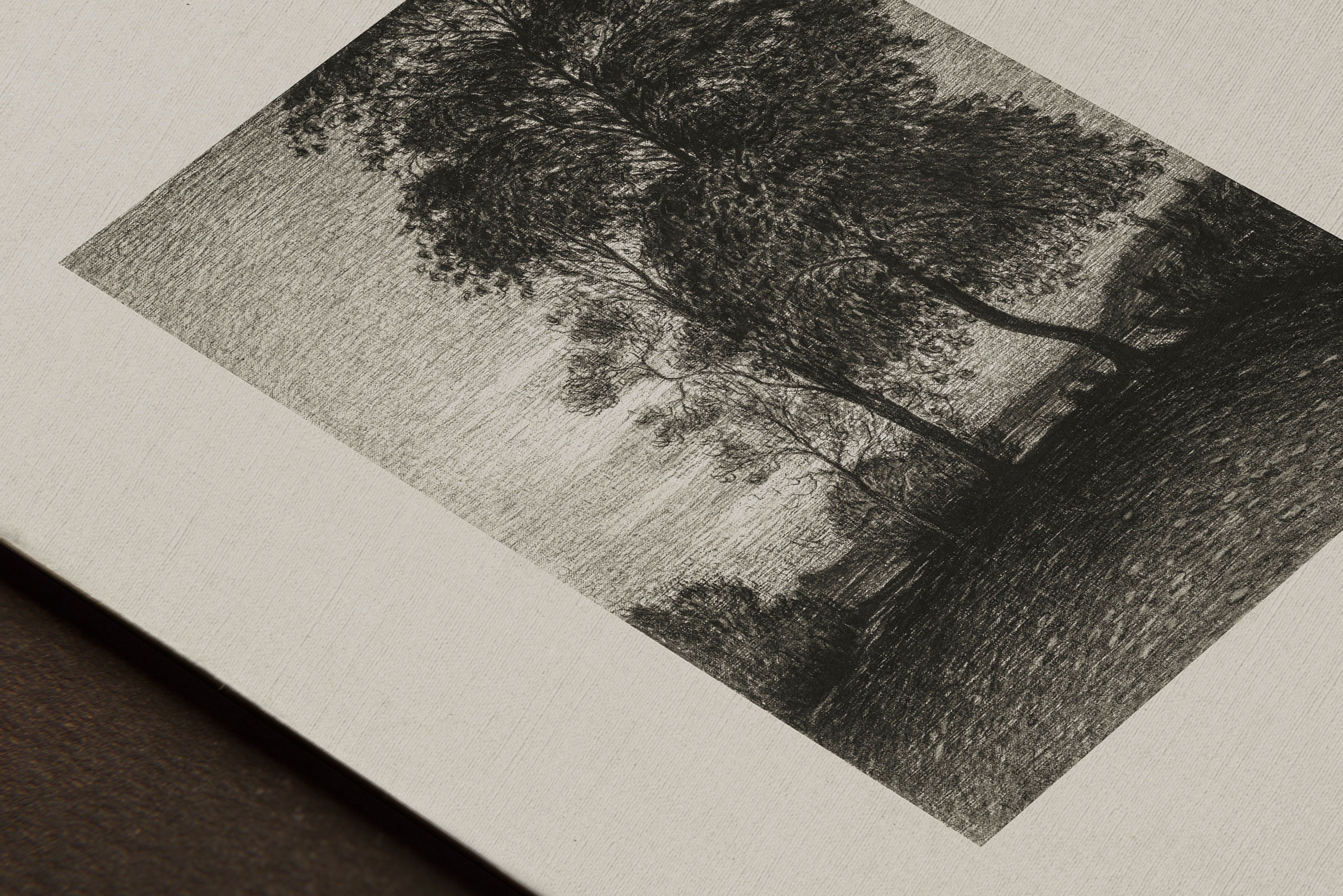 Vintage Tree Charcoal Drawing Print Dark Moody Forest - Etsy