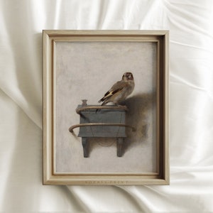 Bird Top on Box, Cute Brown Bird Wall Art, Chained Bird, Captive Bird ...