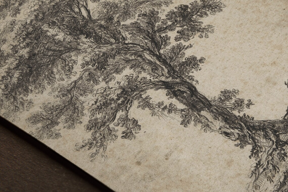 Moody Vintage Tree Drawing Print, Country Farmhouse Sketch, Antique ...