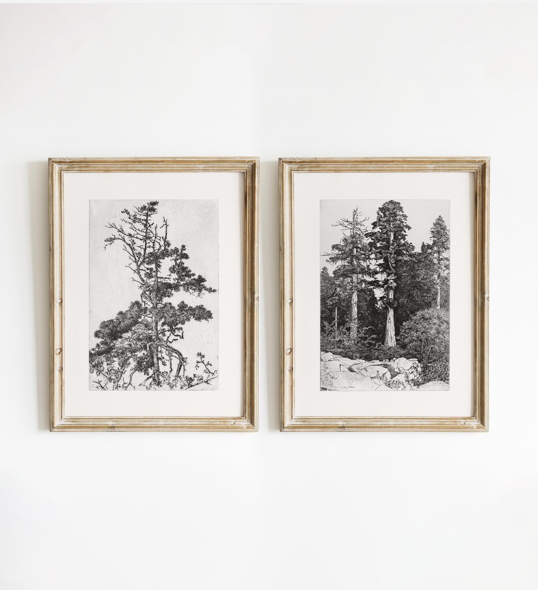 Tree Drawing Set of Two, Sketch of 2, Rural Drawing Art Print, Rustic ...