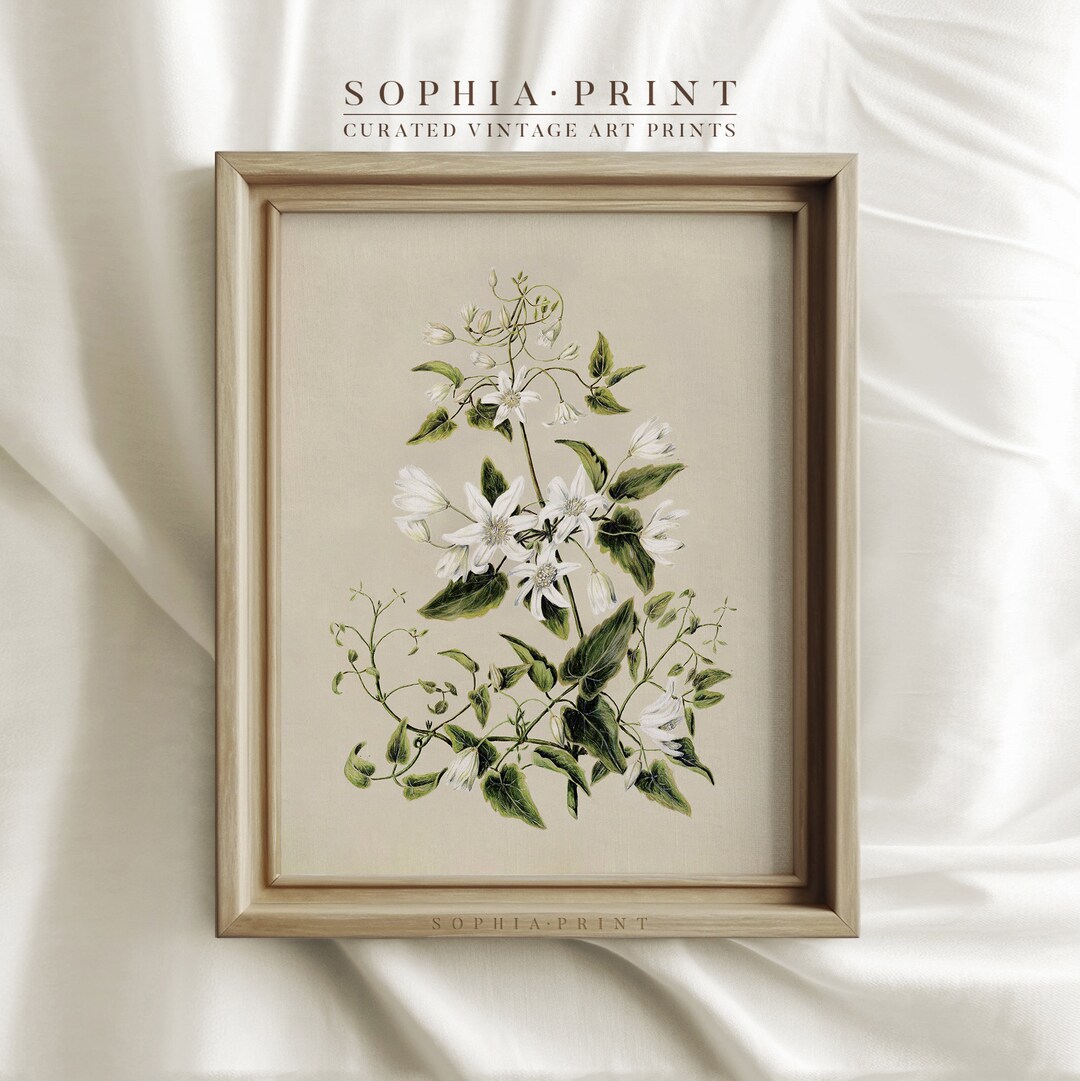Vintage Flower Print Art, Antique Botanical Print, Farmhouse Wall Decor ...