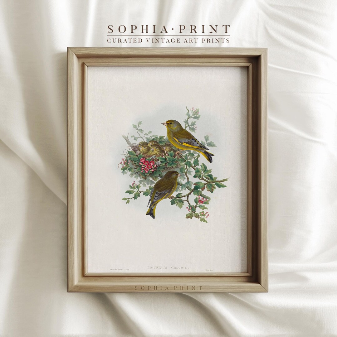 Bird and Eyrie Painting Art Print, Birds and Nestinges Art Print ...