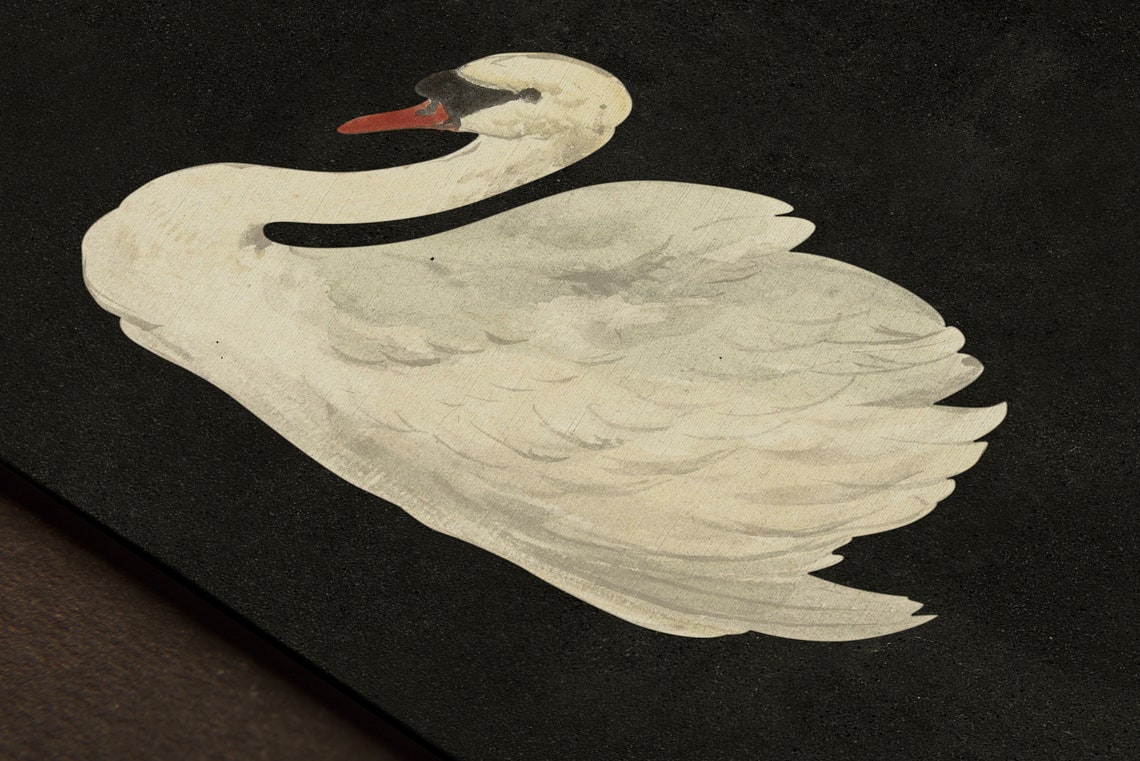Black Swan Art Print, Vintage Nursery Prints, Vintage Swan Drawing Wall ...