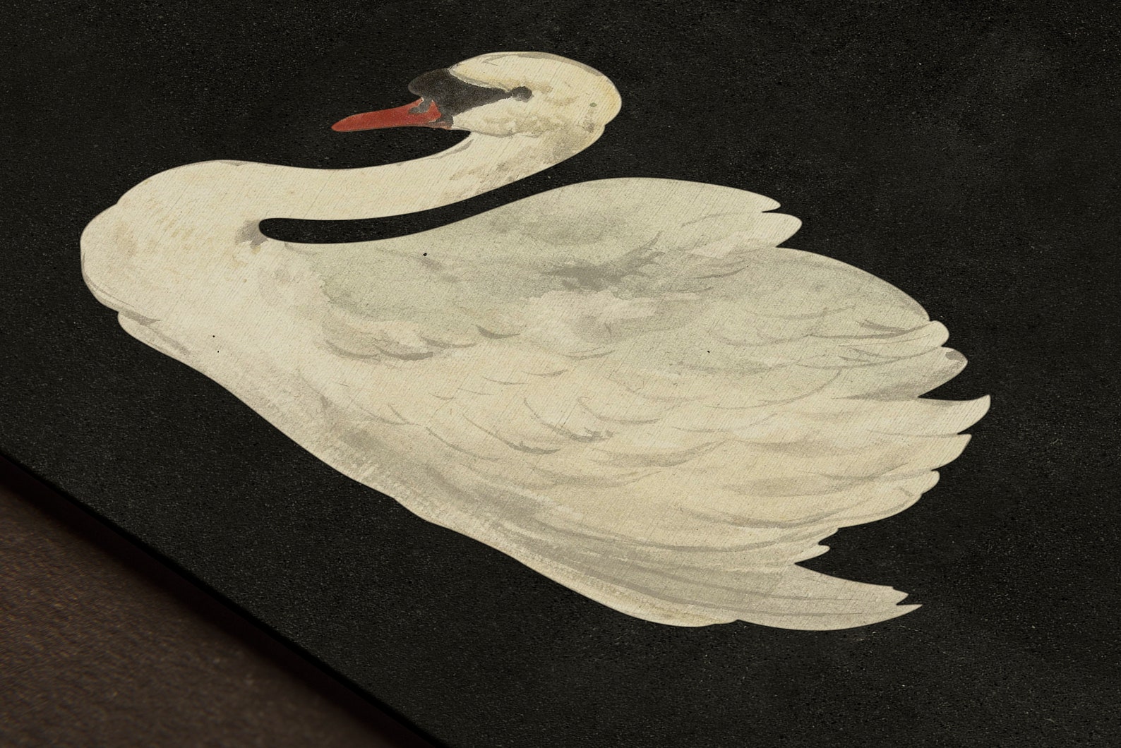 Black Swan Art Print, Vintage Nursery Prints, Vintage Swan Drawing Wall ...
