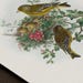 Bird and Eyrie Painting Art Print, Birds and Nestinges Art Print ...