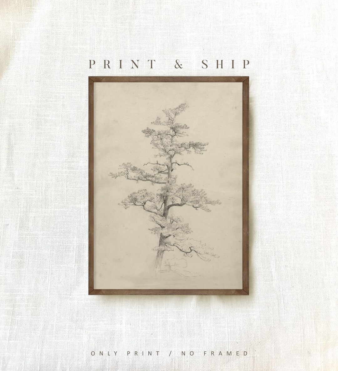 Vintage PRINTED Art Rustic Tree Sketch Botanical Drawing - Etsy