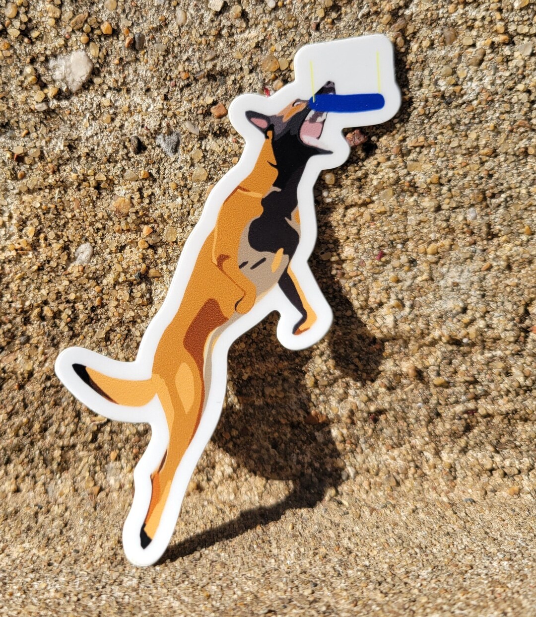 Belgian Malinois Dock Diving Sticker Belgian Malinois Sticker Dock ...