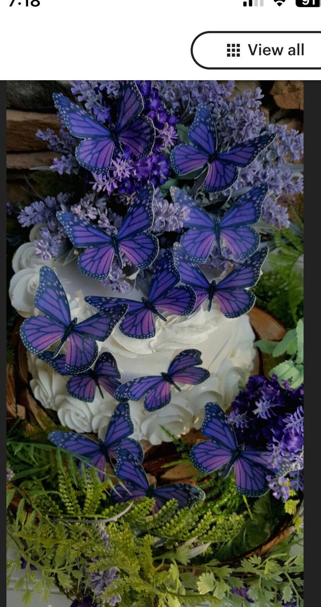 Edible Purple Majestic Monarch Butterfly Collection Set of 12 Cake ...