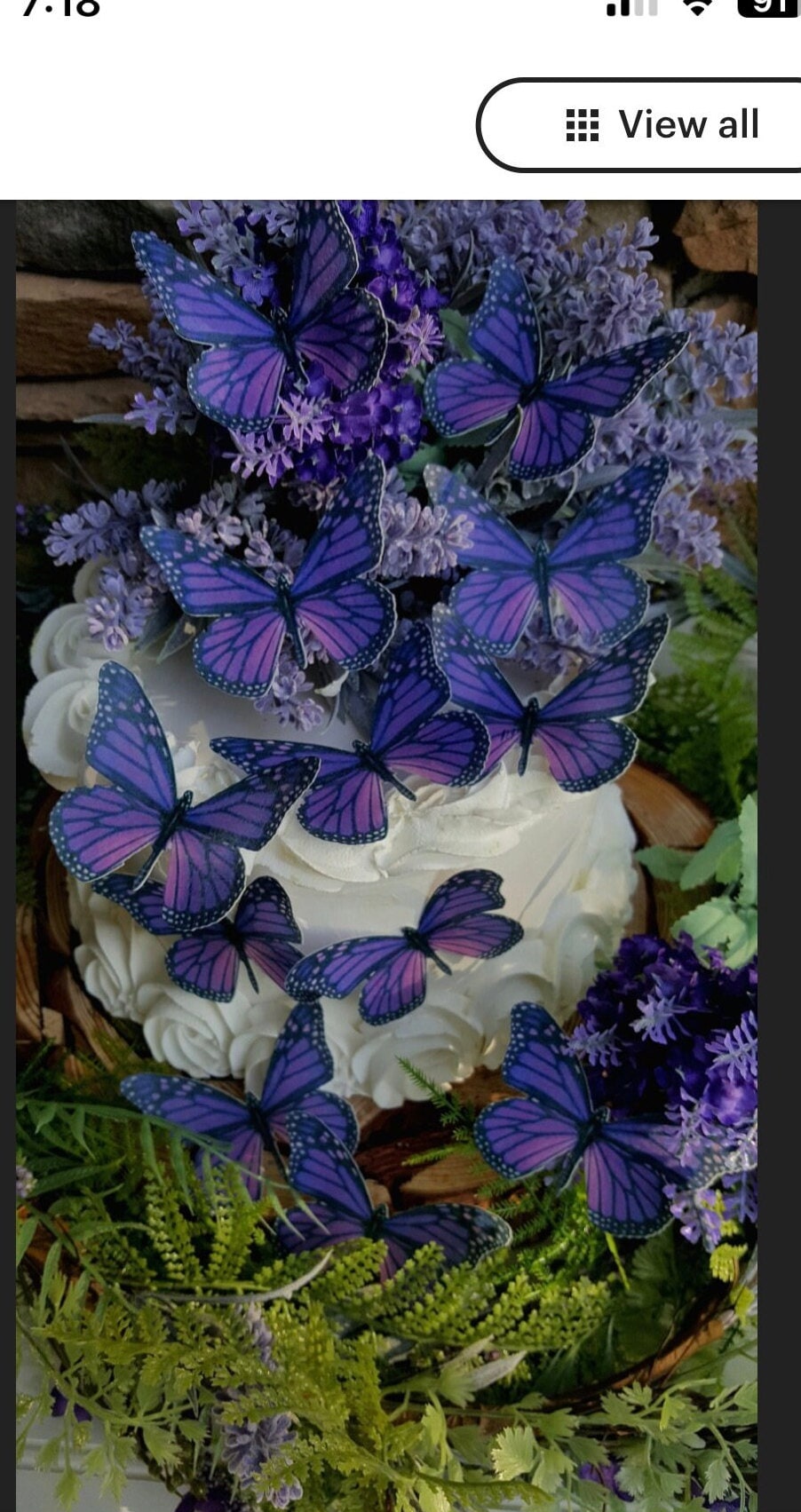 Edible Purple Majestic Monarch Butterfly Collection Set of 12 Cake ...