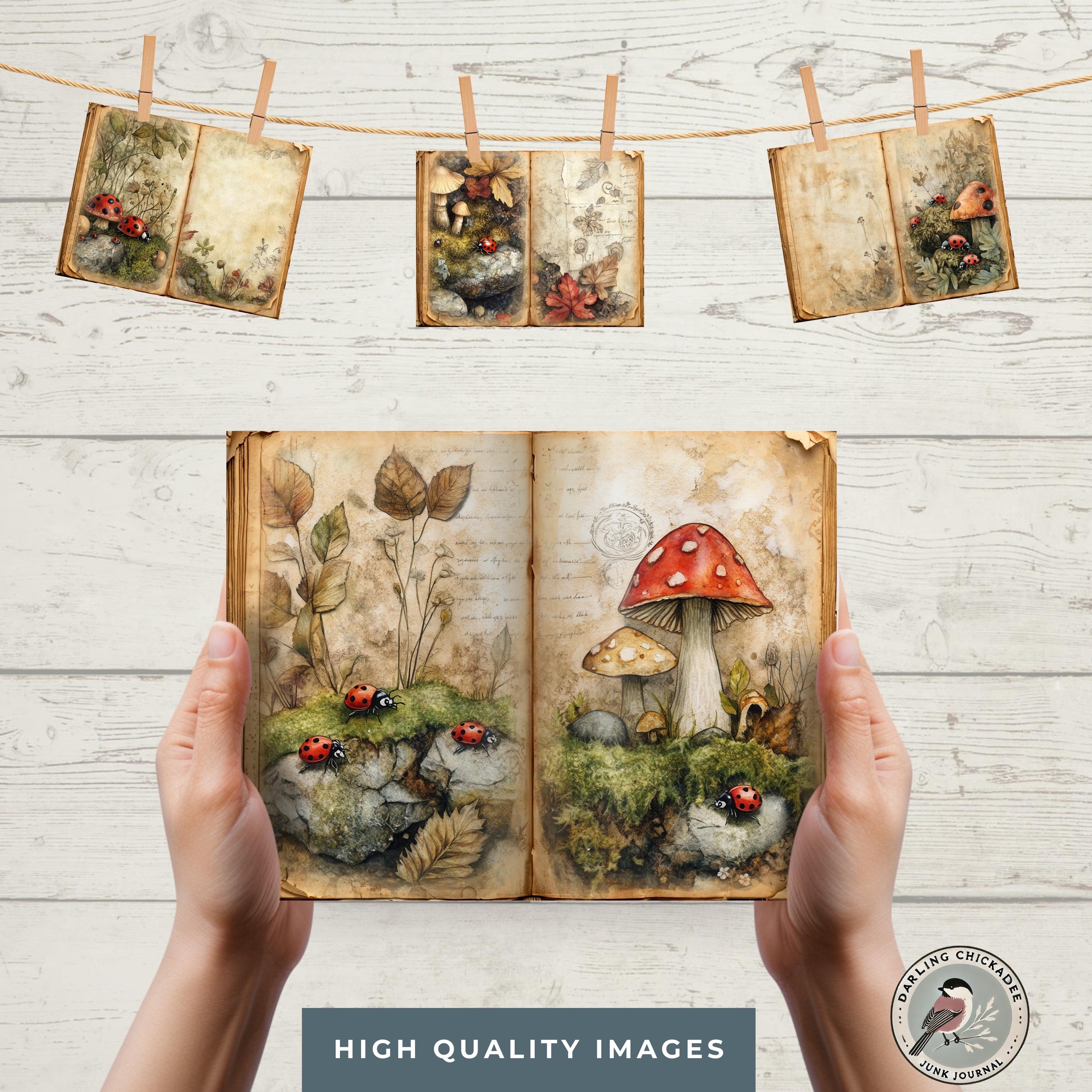 Woodland Ladybug Journal Pages | Printable Field Notes & Mushrooms ...
