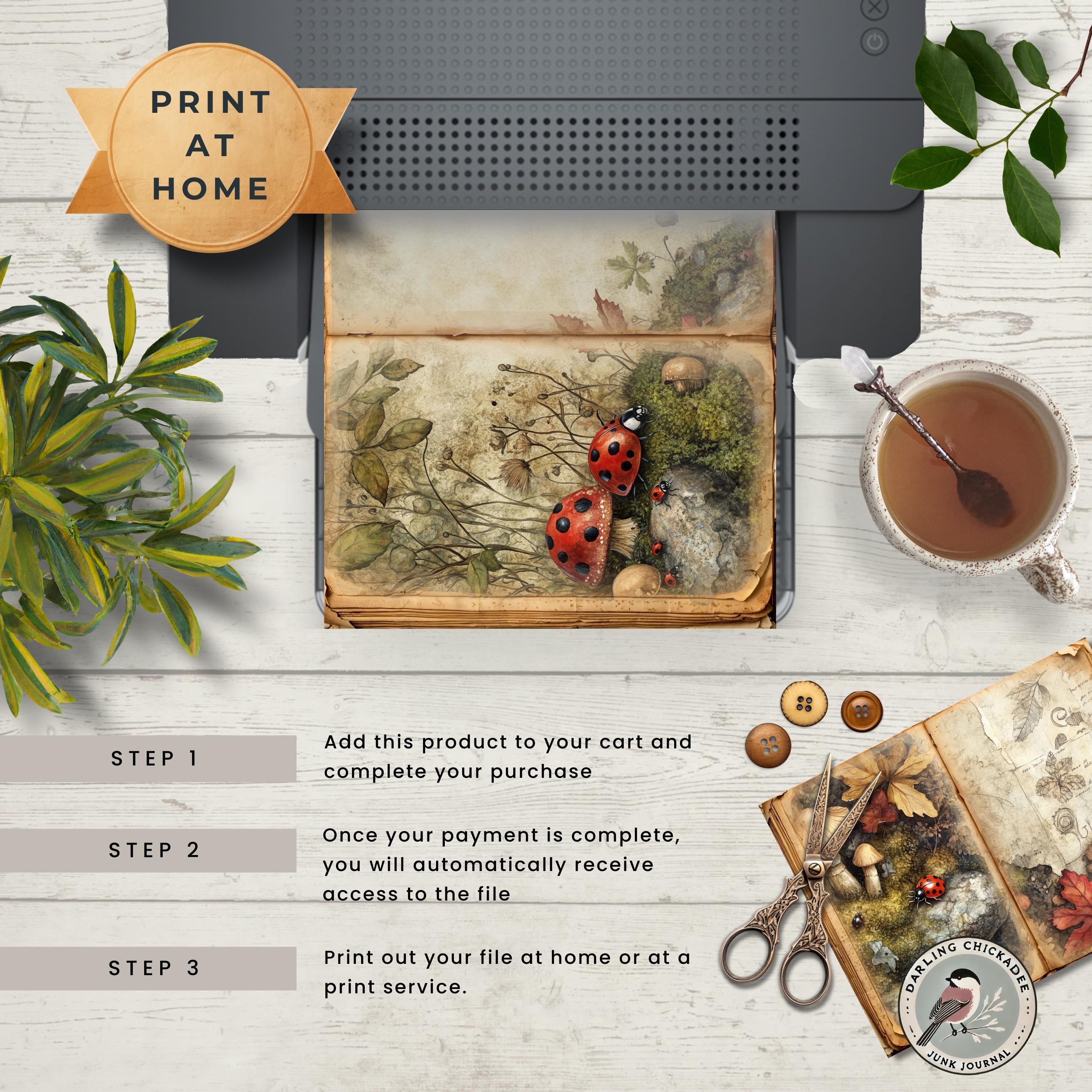 Woodland Ladybug Journal Pages | Printable Field Notes & Mushrooms ...