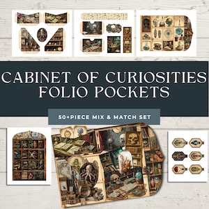 Cabinet of Curiosities Junk Journal Folio | Dark Academia Ephemera ...
