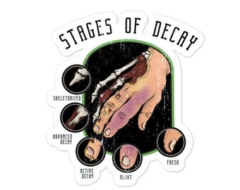5 Stages of Decay Hand Human Decomposition Forensic | Etsy Australia