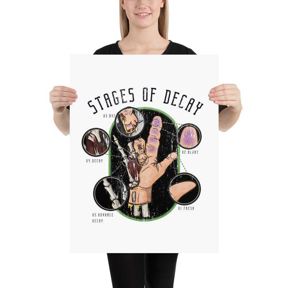 5 Stages of Decay / Stages of Composition Coroner Poster / Forensics ...