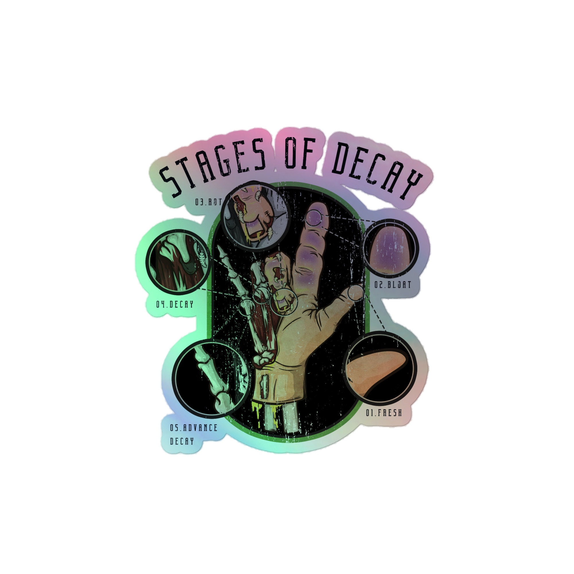Stages of Decay Forensics Sticker - Mortician & Mortuary Science ...