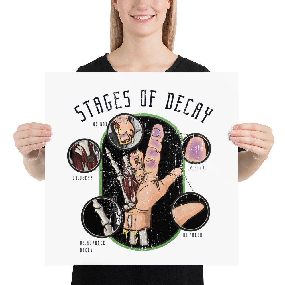 5 Stages of Decay / Stages of Composition Coroner Poster / - Etsy Australia