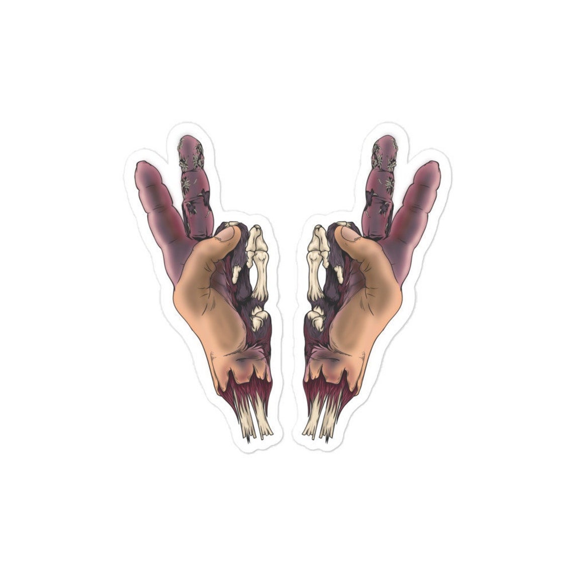 5 Stages of Decay Hand - Human Decomposition - Forensic Science ...