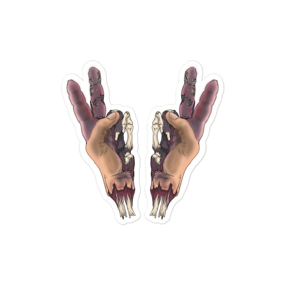 5 Stages of Decay Hand Human Decomposition Forensic | Etsy