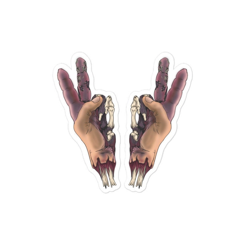 5 Stages of Decay Hand - Human Decomposition - Forensic Science ...