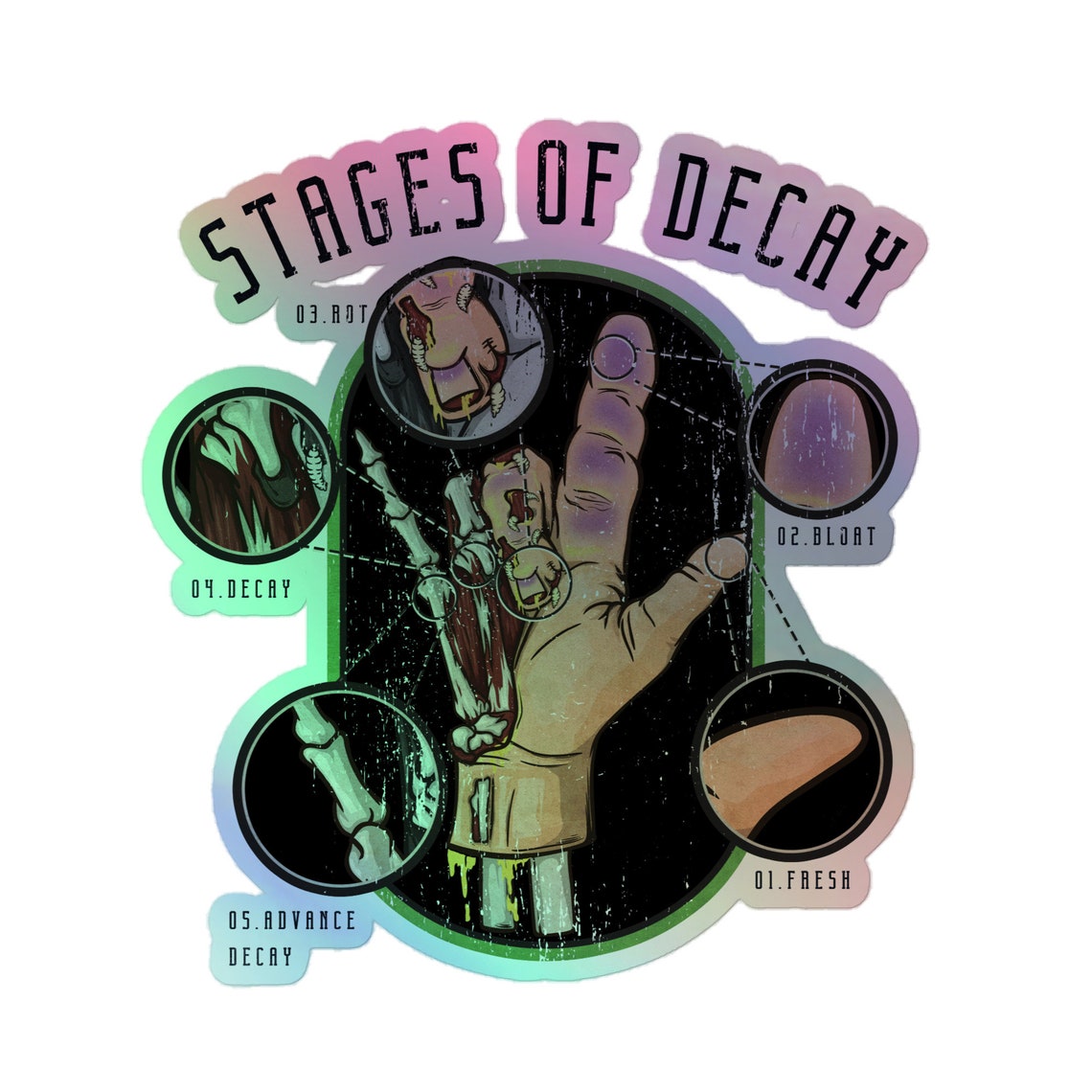 Stages of Decay Forensics Sticker - Mortician & Mortuary Science ...