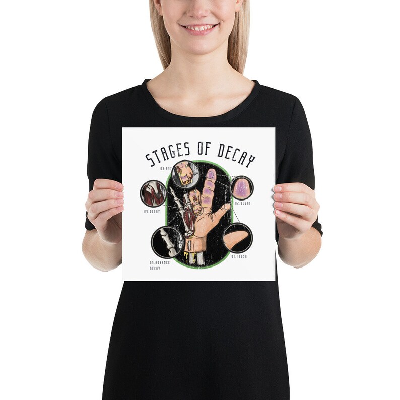 5 Stages of Decay / Stages of Composition Coroner Poster / - Etsy Australia