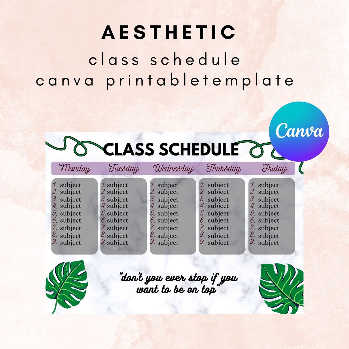 Aesthetic School Schedule Printable Class Schedule Template - Etsy