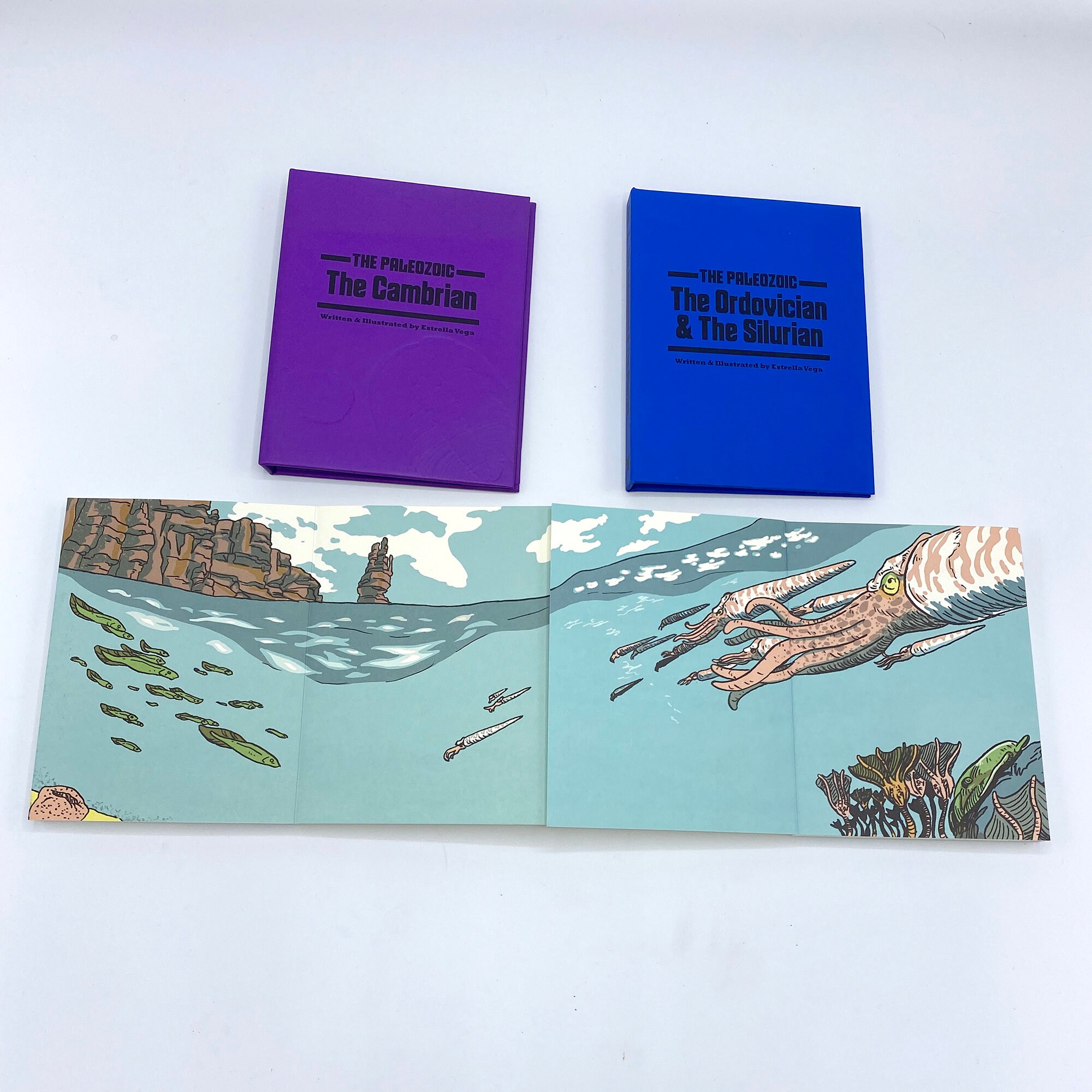 The Cambrian Prehistory Art Book - a Panoramic View of the Paleozoic ...
