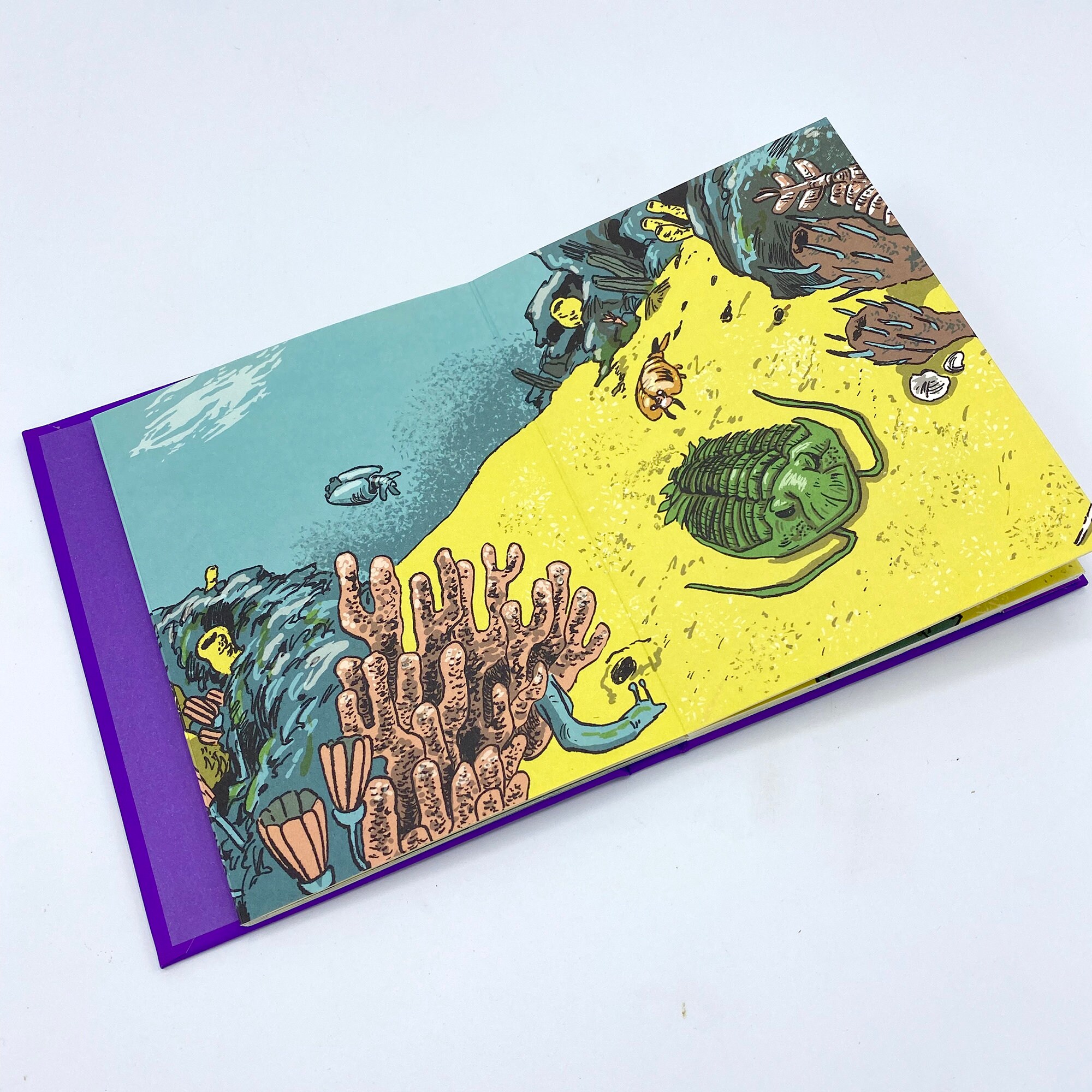The Cambrian Prehistory Art Book - a Panoramic View of the Paleozoic ...