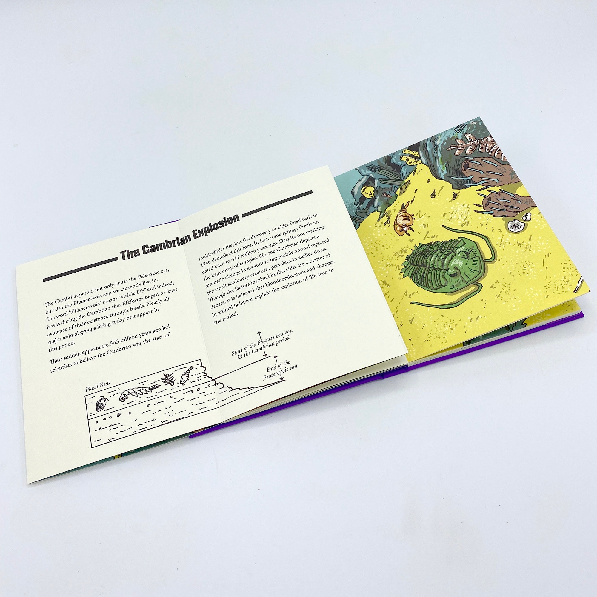 The Cambrian Prehistory Art Book - a Panoramic View of the Paleozoic ...