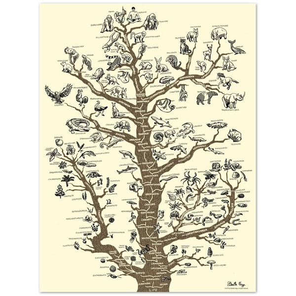 Tree of Life Poster - Etsy