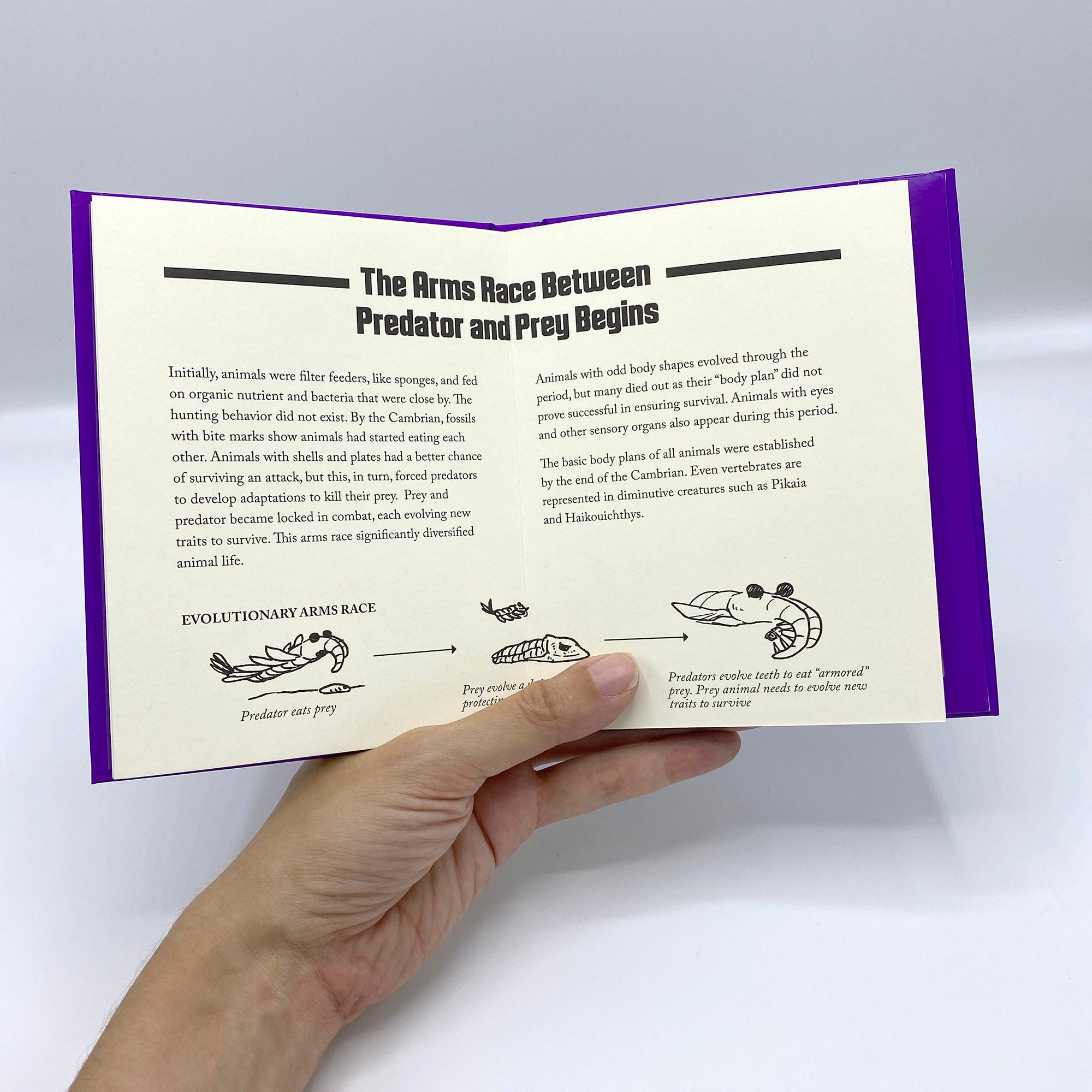 The Cambrian Prehistory Art Book - a Panoramic View of the Paleozoic ...
