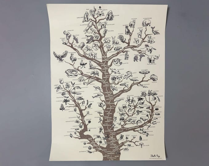 Evolutionary Biology Tree of Life Poster - Nature Lover Gift Idea ...