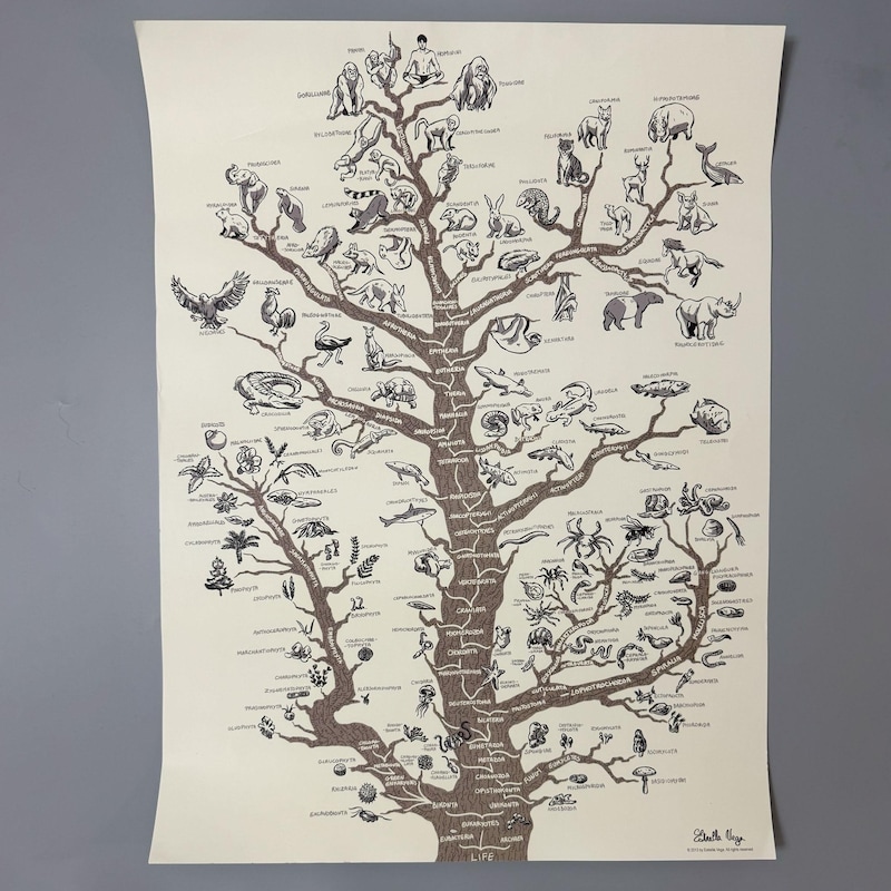 Tree of Life Poster - Etsy