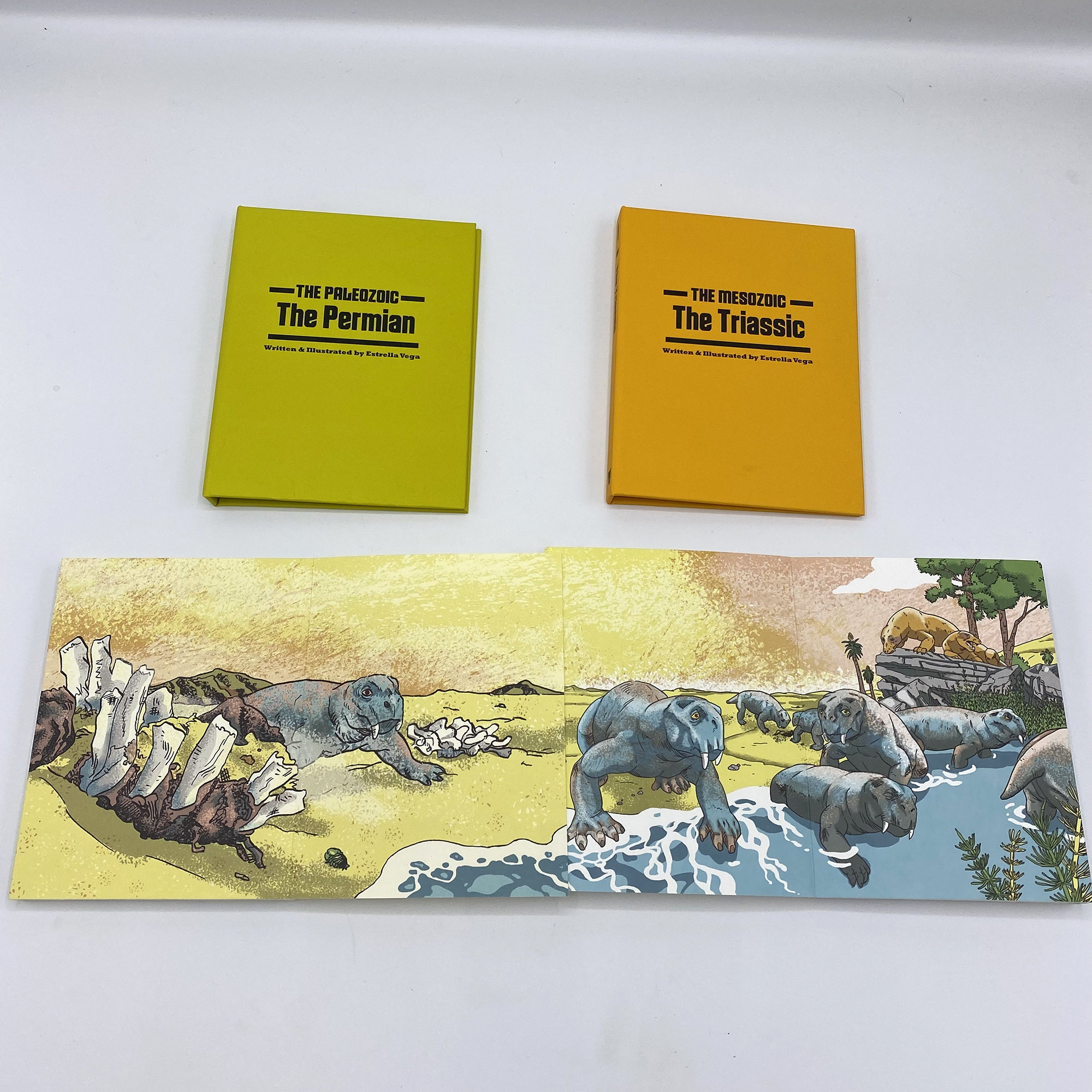 The Permian Prehistory Art Book - a Panoramic View of the Paleozoic Vol ...
