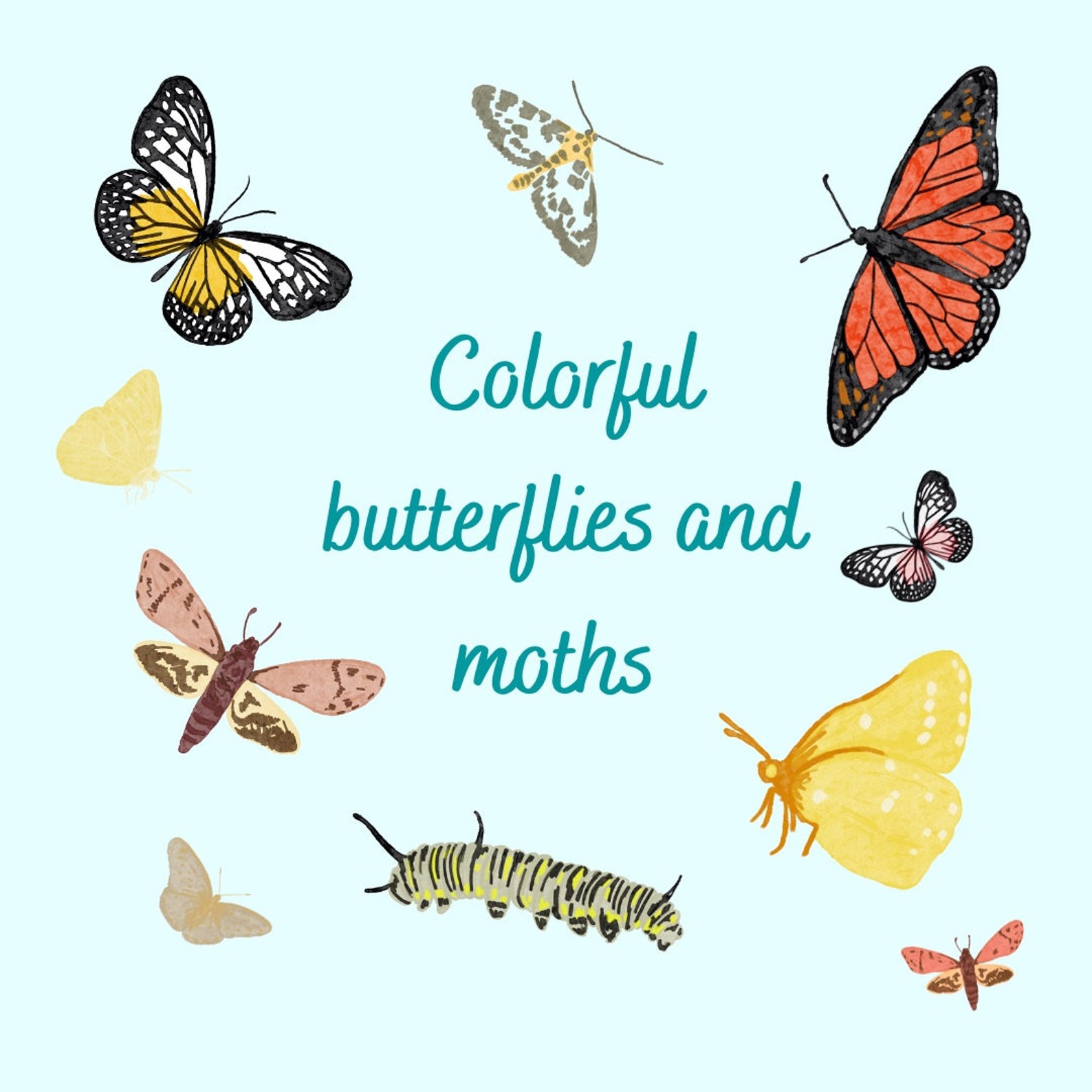 Clip Art Butterflies Butterfly Clip Art Moth Clipart Caterpillar ...