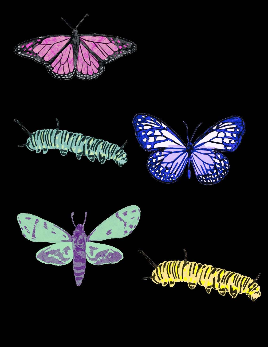 Clip Art Butterflies Butterfly Clip Art Moth Clipart Caterpillar ...