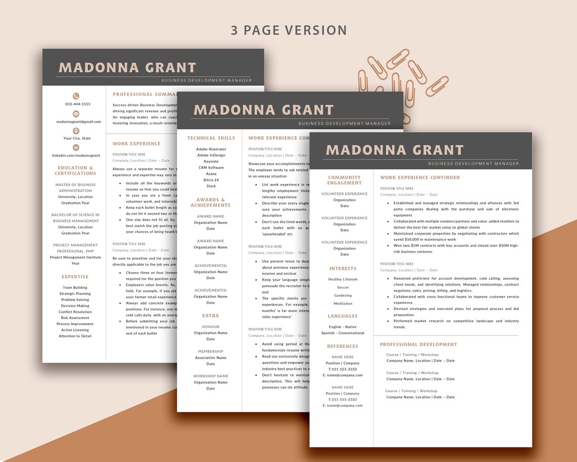 Modern Executive Resume Template, CEO Resume Template for Word, Google ...