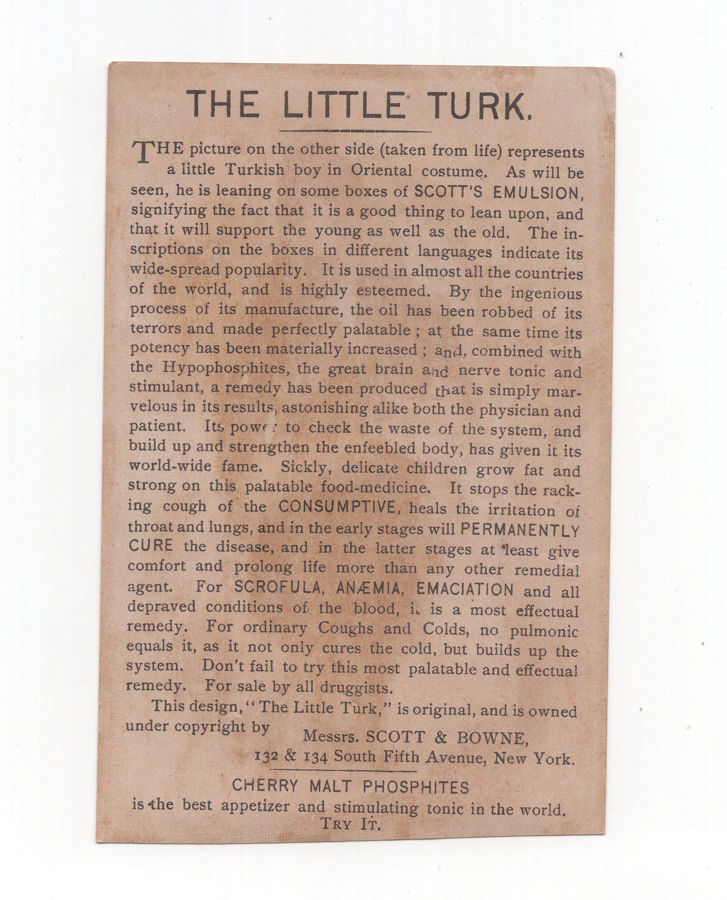 Victorian Antique C. 1880s Trade Card Boy Costume Turkish Red Dress ...