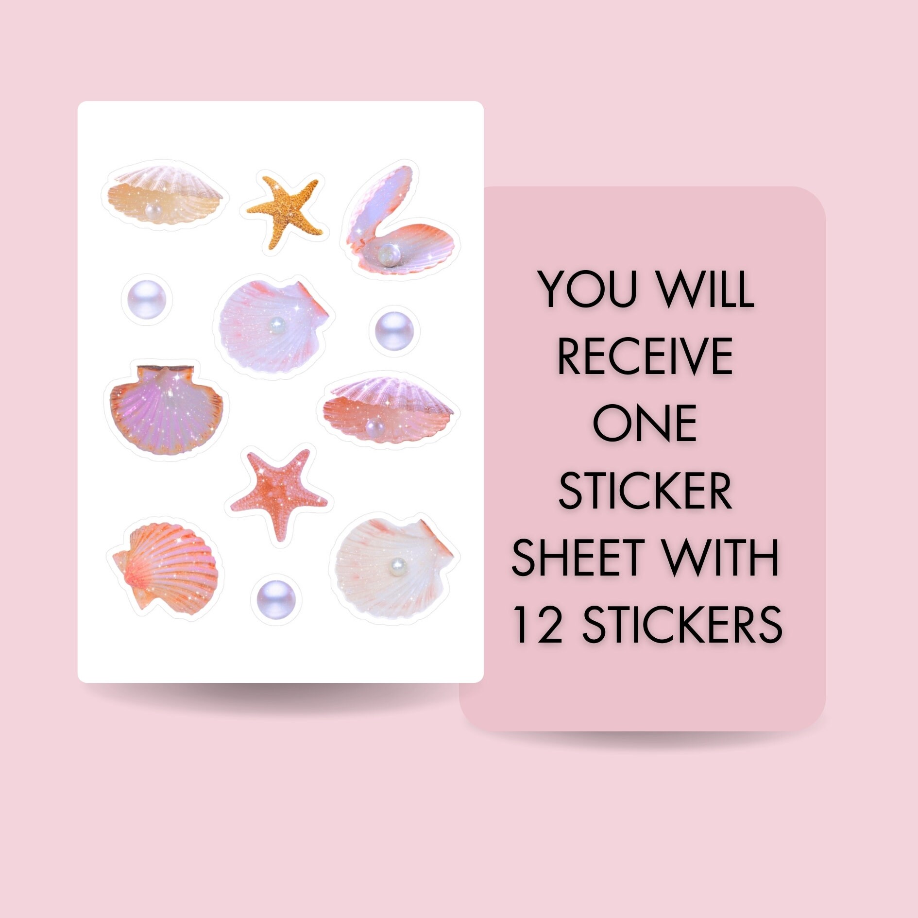Seashell Stickers, Aesthetic Stickers for Water Bottle, Coquette ...