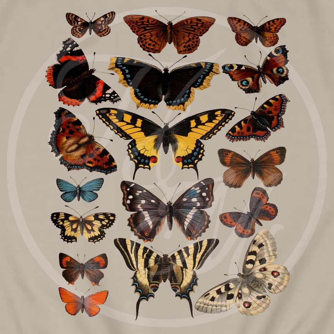 Butterfly Collage Design, Butterfly Entomology Print Unisex Heavy Blend ...