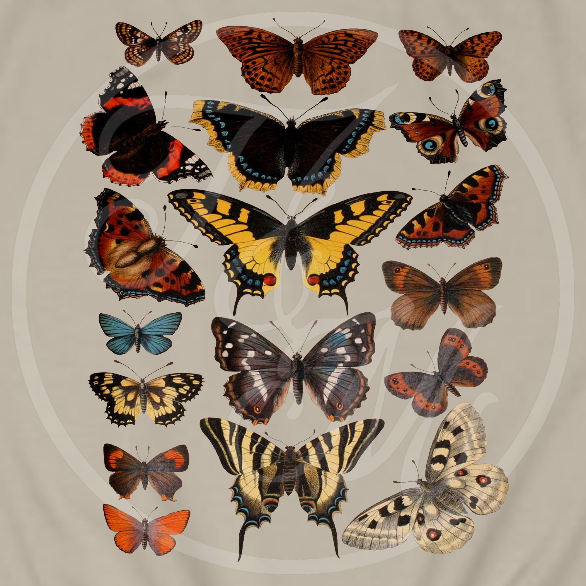 Butterfly Collage Design, Butterfly Entomology Print Unisex Heavy ...